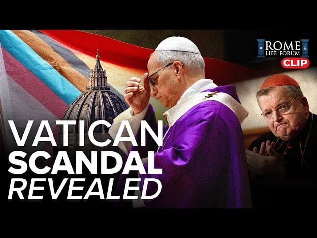 EXPOSING Cardinal Burke's SILENCE on Pope Leo | Vatican SCANDAL ...