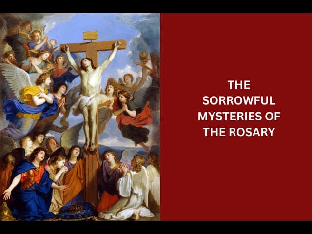 The Sorrowful Mysteries of the Rosary - Daily TV Mass | Christendom