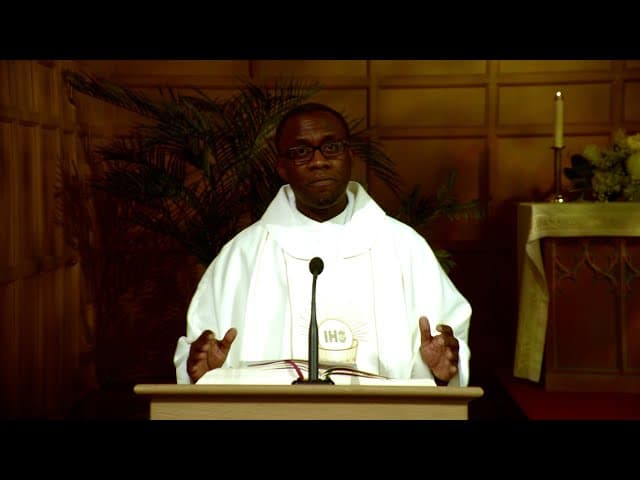 The Luminous Mysteries of the Rosary - Daily TV Mass | Christendom