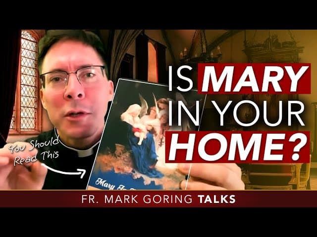 Fr. Mark Goring is live! - Fr. Mark Goring | Christendom