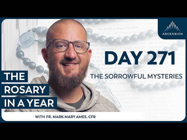 Day 242: The Wedding Feast and Proclamation — The Rosary in a Year ...
