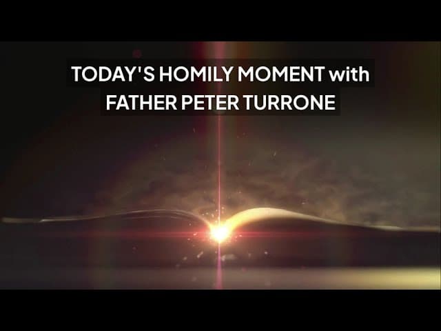 Daily TV Mass | Christendom