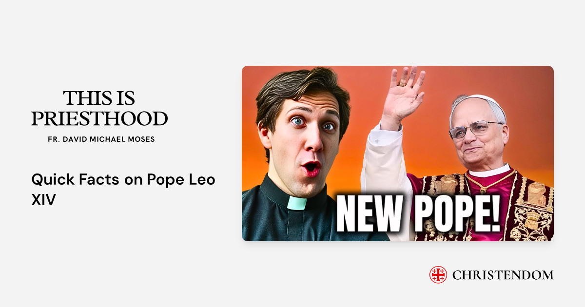 Quick Facts on Pope Leo XIV - Father David Michael Moses | Christendom