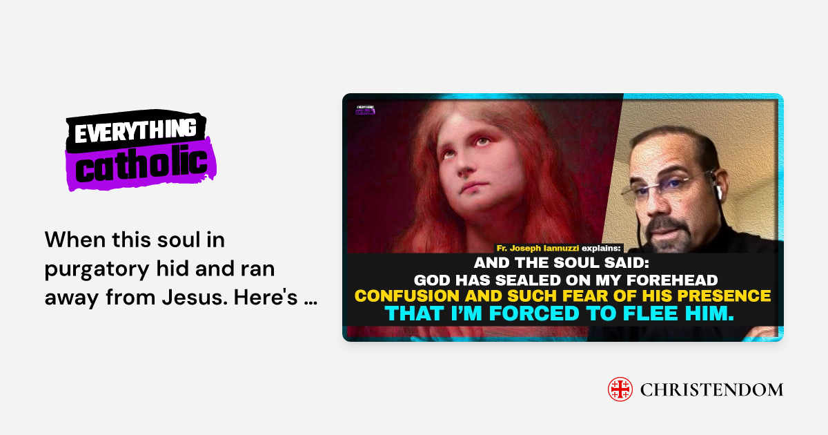 When this soul in purgatory hid and ran away from Jesus. Here's why. Fr ...