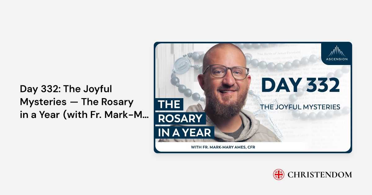 Day 332: The Joyful Mysteries — The Rosary in a Year (with Fr. Mark ...