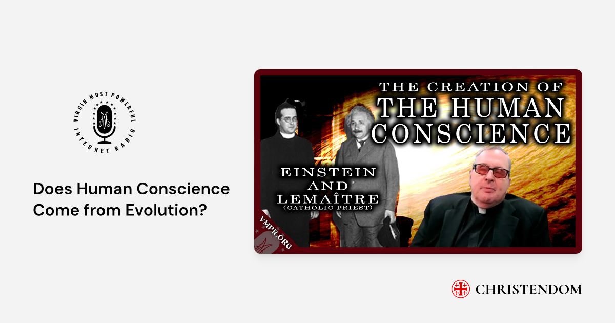 Does Human Conscience Come from Evolution? - FULL SHEEN AHEAD | Christendom