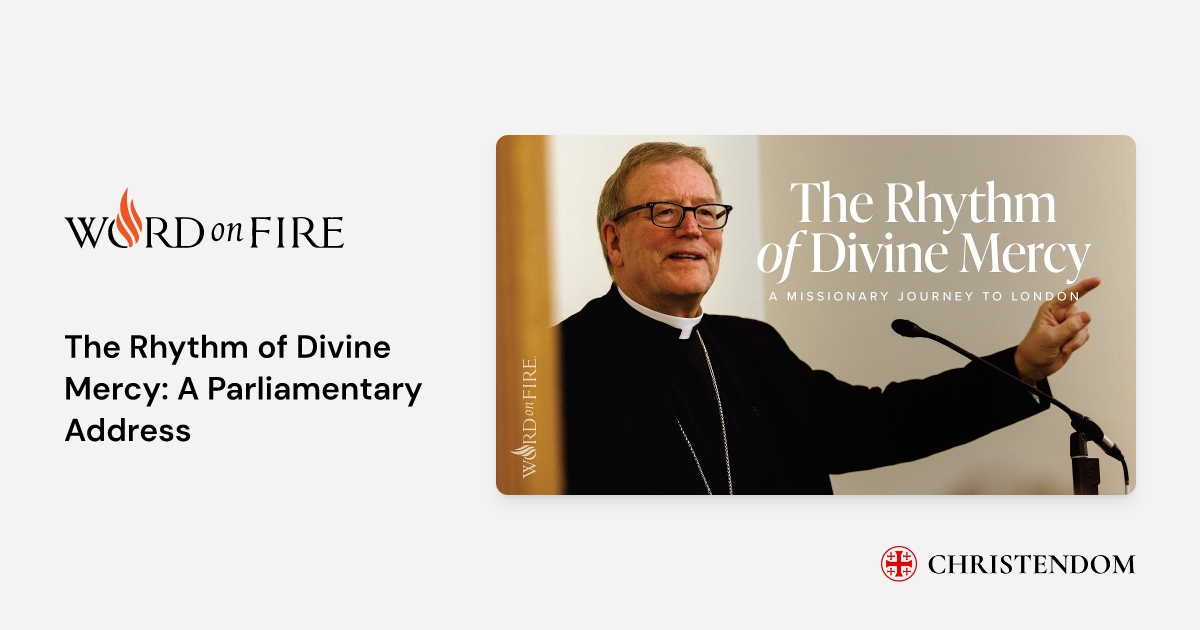 The Rhythm of Divine Mercy: A Parliamentary Address - Bishop Robert ...