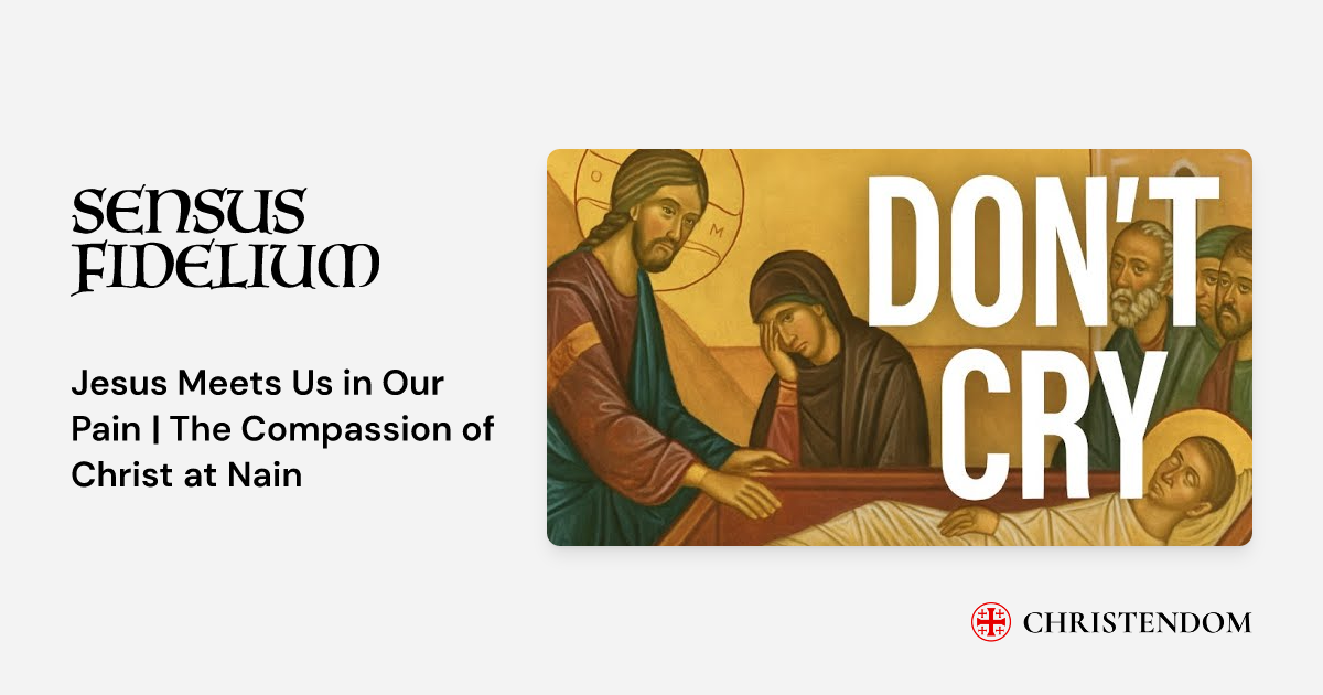 Jesus Meets Us in Our Pain | The Compassion of Christ at Nain - Sensus ...