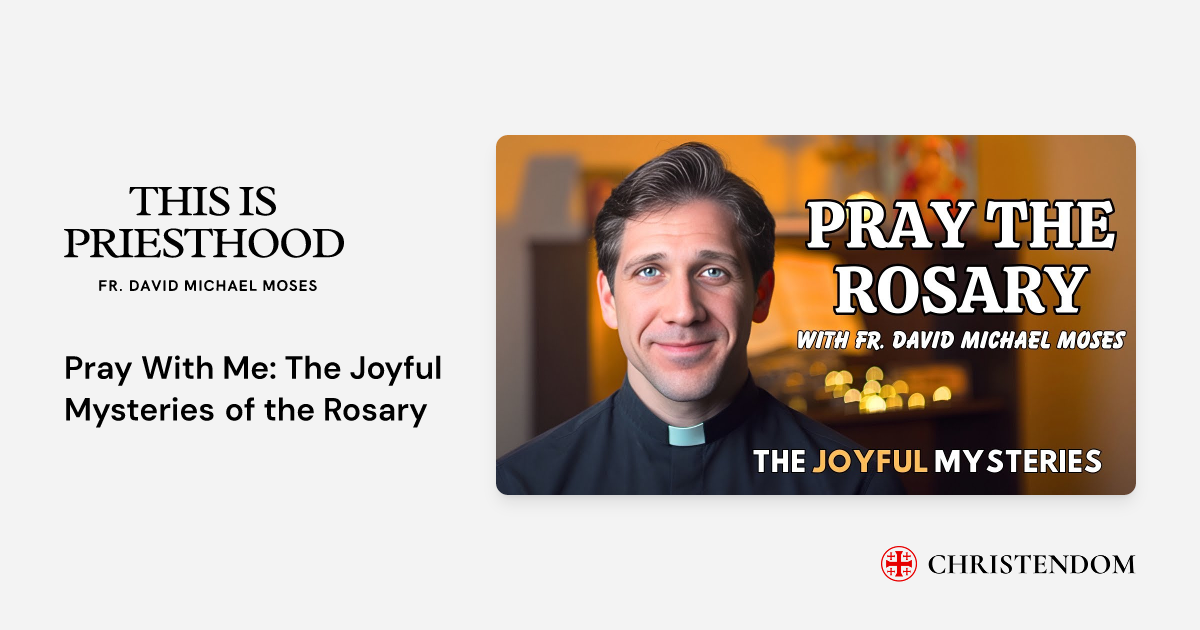 Pray With Me: The Joyful Mysteries of the Rosary - Father David Michael ...