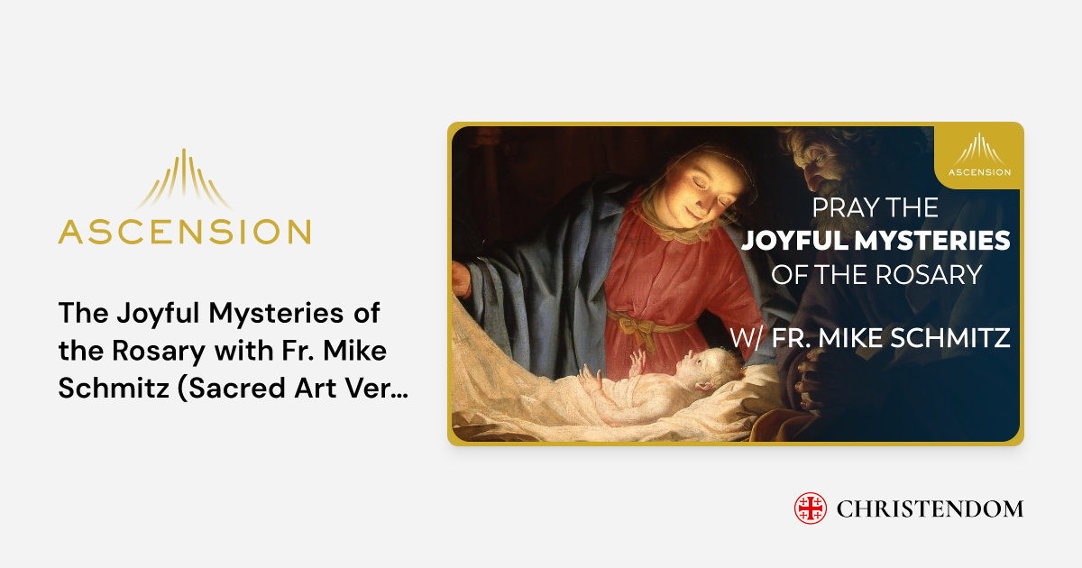 The Joyful Mysteries of the Rosary with Fr. Mike Schmitz (Sacred Art ...