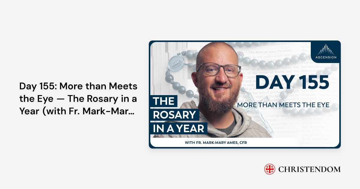 Day 155: More than Meets the Eye — The Rosary in a Year (with Fr. Mark ...